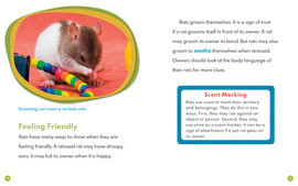 Rat Behavior - ABDO Publishing Company