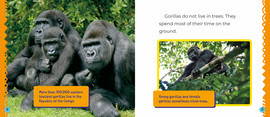 Gorillas - ABDO Publishing Company