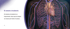 El sistema circulatorio (Circulatory System) - ABDO Publishing Company