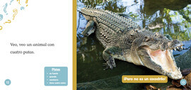 Veo, veo un animal en el zoo (I'm Thinking - ABDO Publishing Company
