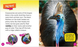 Cassowary - Bearport Publishing