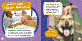 Expert Animals - Bearport Publishing