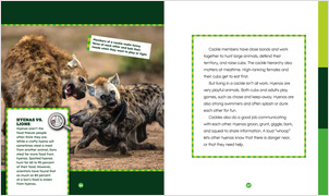 A Cackle of Hyenas - The Child's World