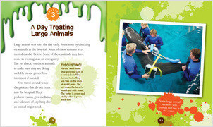 Large Animal Veterinarian - The Child's World