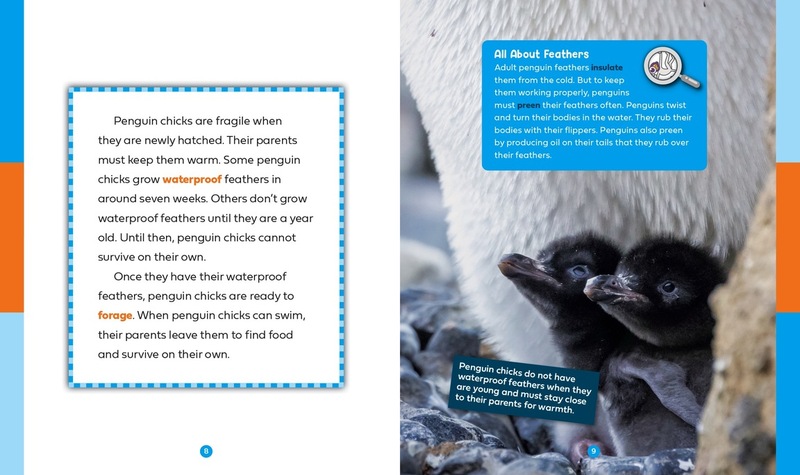 Penguin Chicks - The Child's World