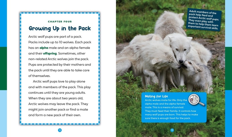Arctic Wolf Pups - The Child's World