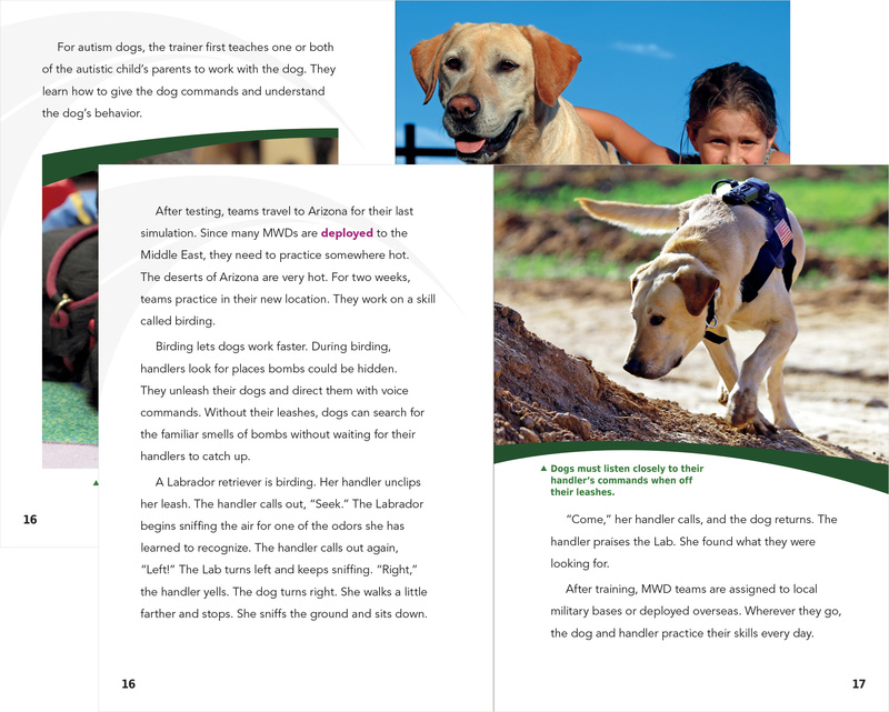Helping Dogs - The Child's World
