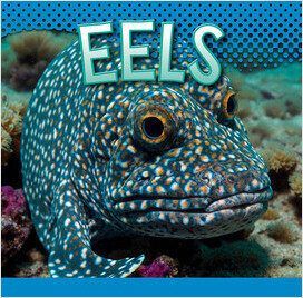Eels - Garrett Book Company
