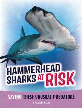 Hammerhead Sharks at Risk - Garrett Book Company