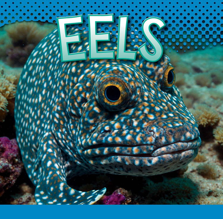 Eels - Garrett Book Company