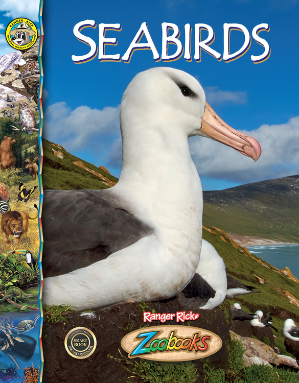 Seabirds - Garrett Book Company