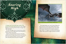 Dragon Anatomy - Garrett Book Company
