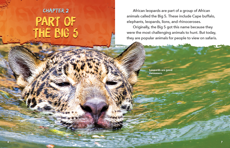 Leopard - Garrett Book Company