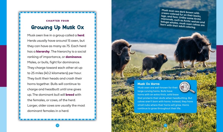 Musk Ox Calves - Garrett Book Company