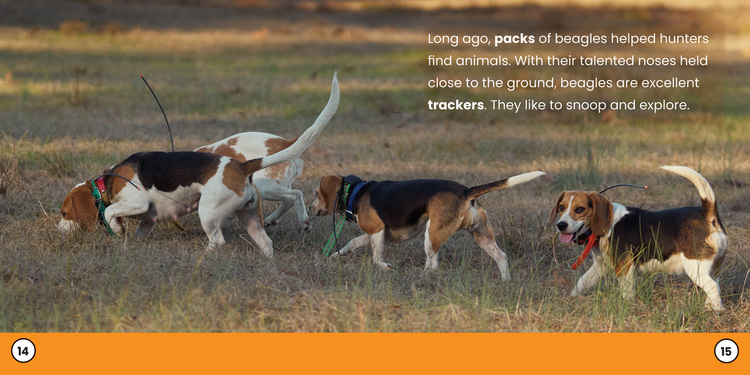 Beagles - Garrett Book Company