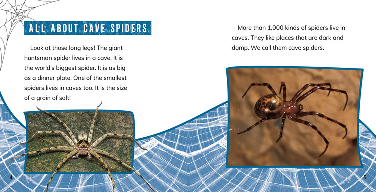 Cave Spiders - Garrett Book Company