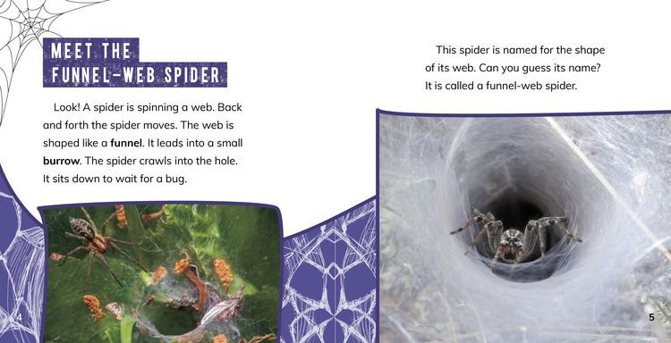 Funnel-Web Spiders - Garrett Book Company