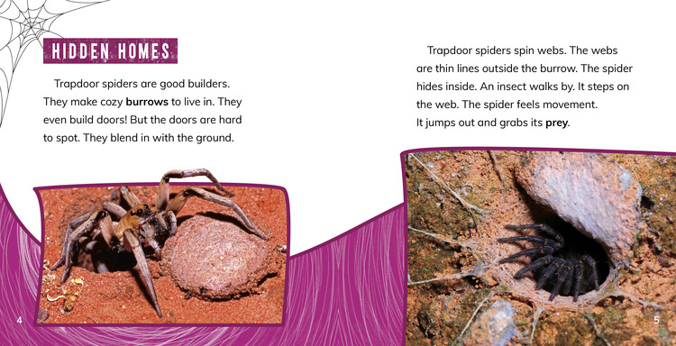 Trapdoor Spiders - Garrett Book Company