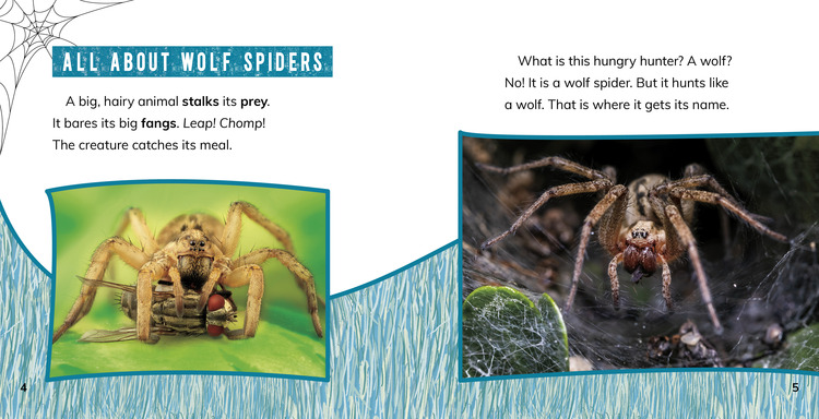 Wolf Spiders - Garrett Book Company