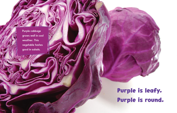 Purple - Garrett Book Company