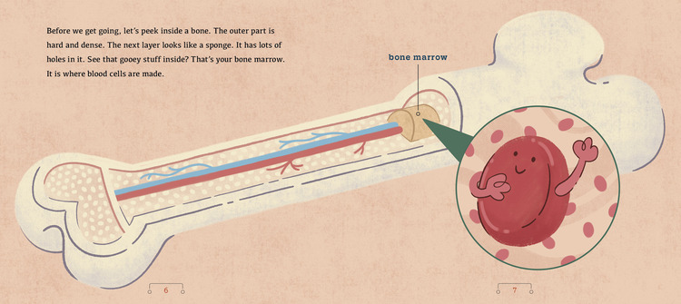 A Tour of the Skeletal System - Garrett Book Company