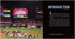 The World Series: Baseball's Biggest Stage - Lerner Publishing Group
