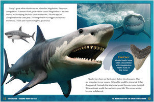 The Megalodon and the Great White Shark - Lerner Publishing Group