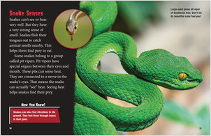 What's So Scary about Snakes? - Lerner Publishing Group