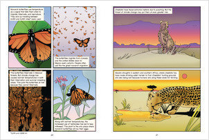 Animal Extinctions: A Graphic Guide - Lerner Publishing Group