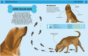 Super Skilled Dogs - Lerner Publishing Group