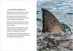 Shark Attack!: Stories of Survival - Lerner Publishing Group