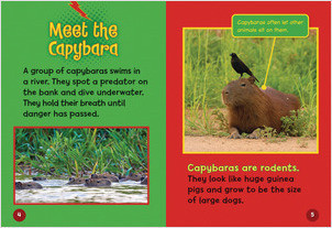 Capybaras: Nature's Biggest Rodent - Lerner Publishing Group