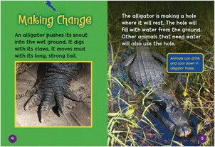 Alligators: Wetland Engineers - Lerner Publishing Group