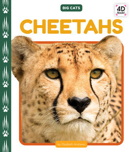 Cheetahs - MidAmerica Books